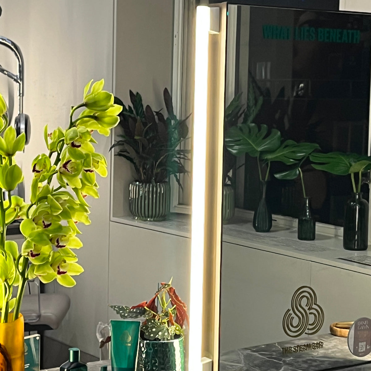 Welcome to our Sanctuary – The Steam Bar